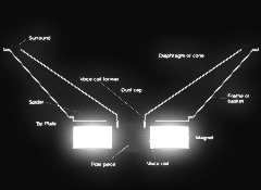 Speaker cones explained - Audiofanzine