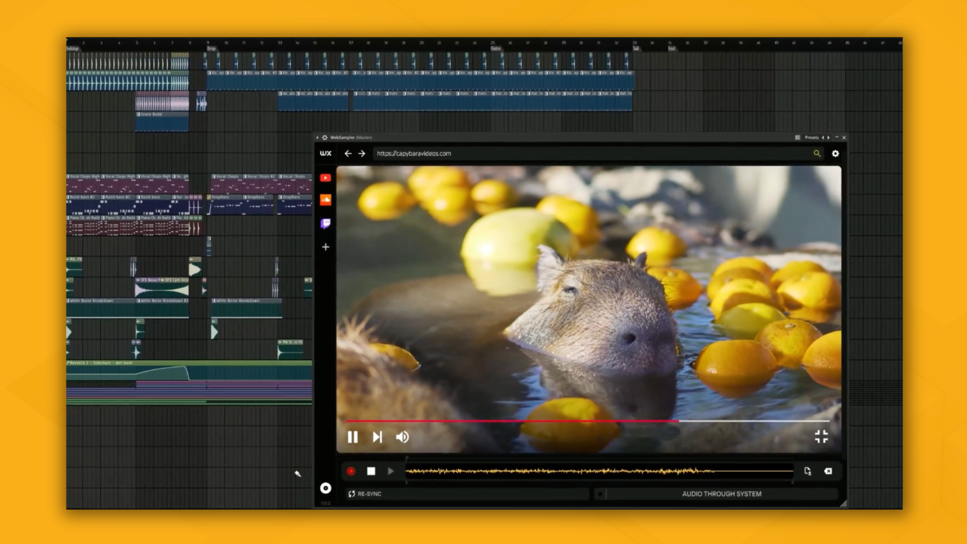 WX Audio sort Web Sampler - Audiofanzine
