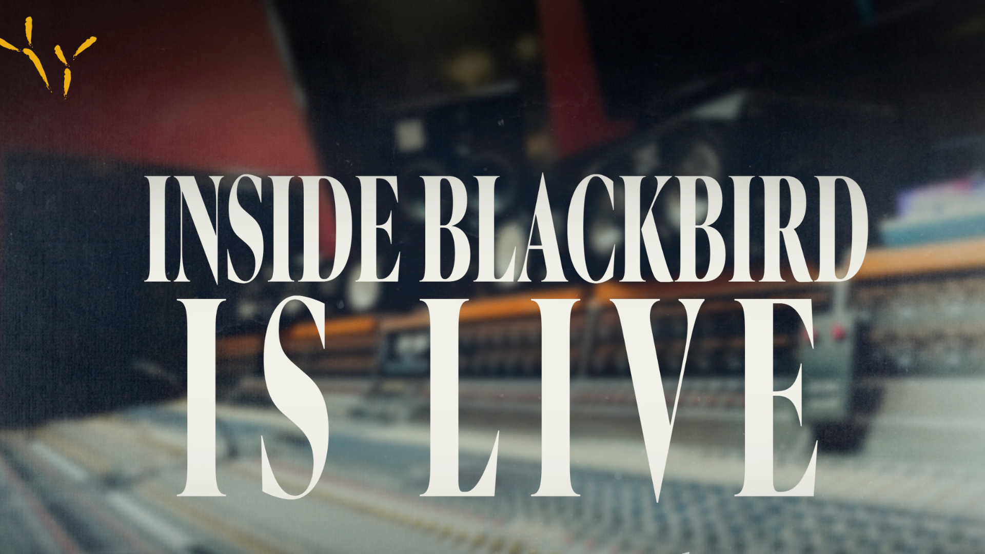 Découvrez la plateforme Inside Blackbird - Audiofanzine