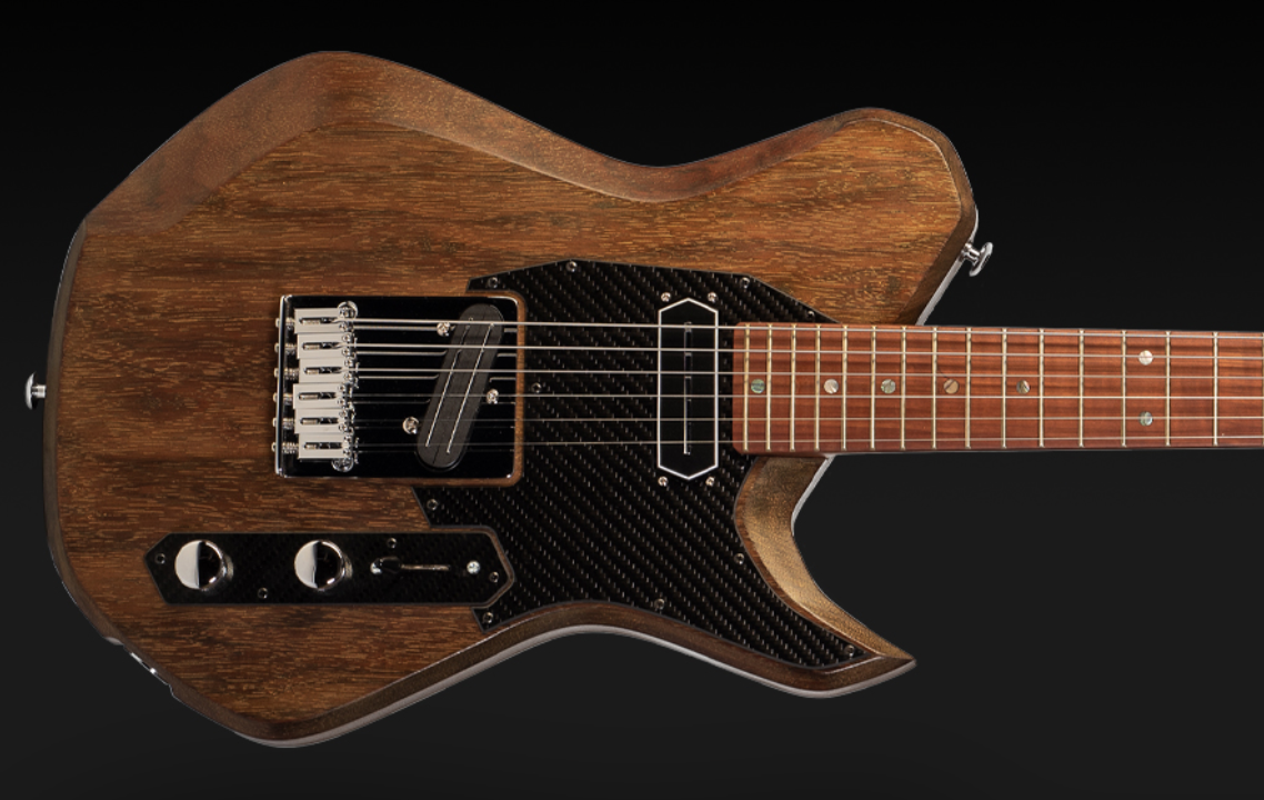 Découvrons la marque Flamel Guitars et son interprétation de la Tele ...