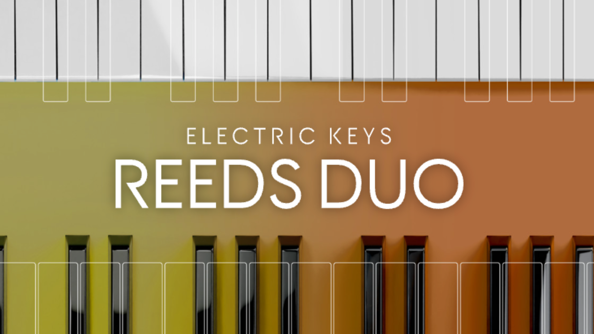 Native Instruments sor Electric Keys Jade et Electric Keys Ivory ...