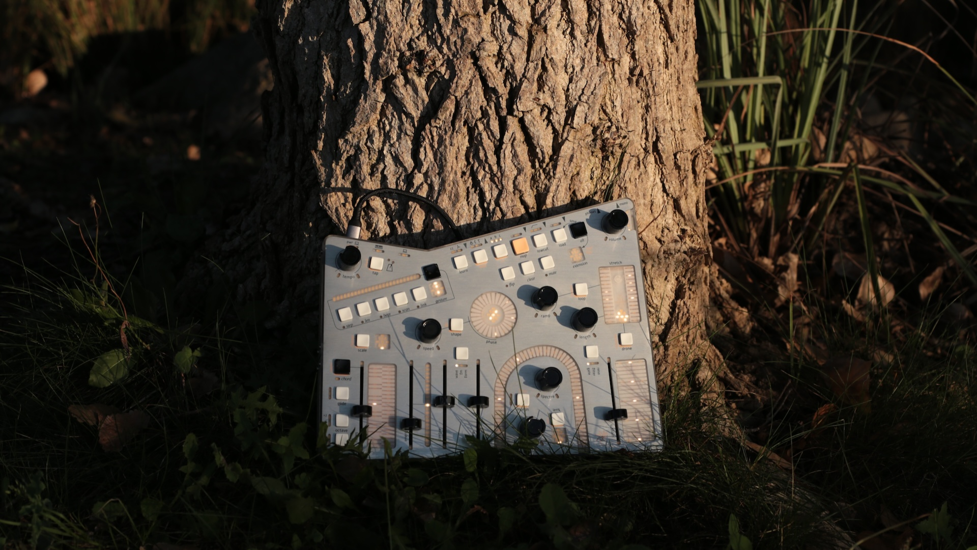 Whimsical Raps sort l'Atrium - Audiofanzine