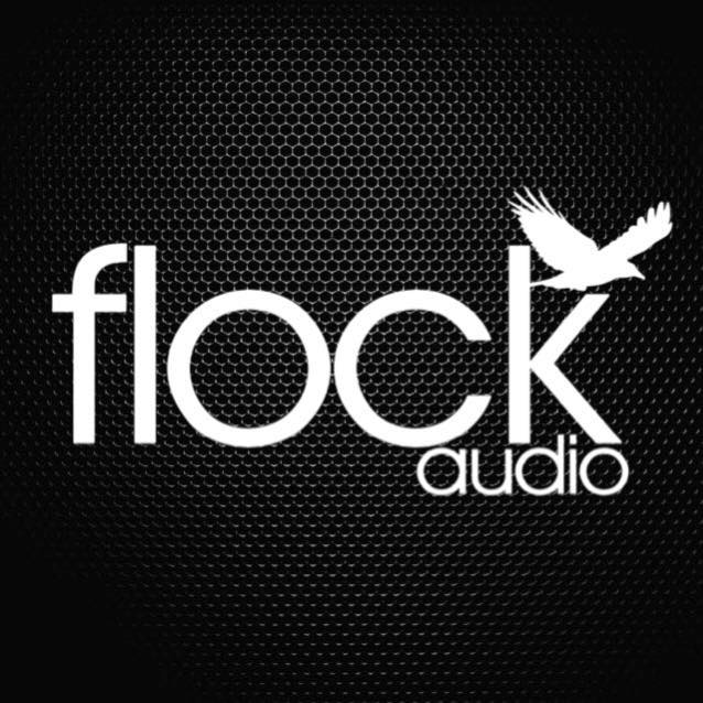 Flock Audio Cables and connectors (4 products) - Audiofanzine