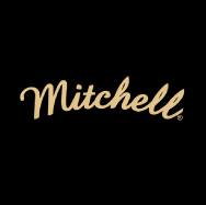 Mitchell Guitars (13 products) - Audiofanzine