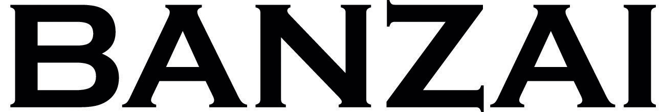 Amplification guitare Banzai (5 produits) - Audiofanzine