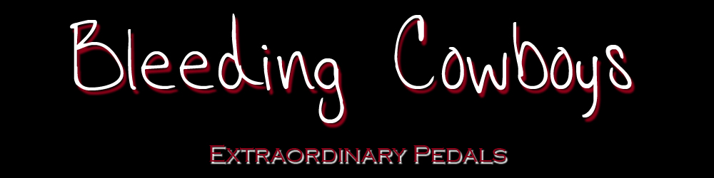 Bleeding Cowboys Studio & Home Studio (1 products) - Audiofanzine