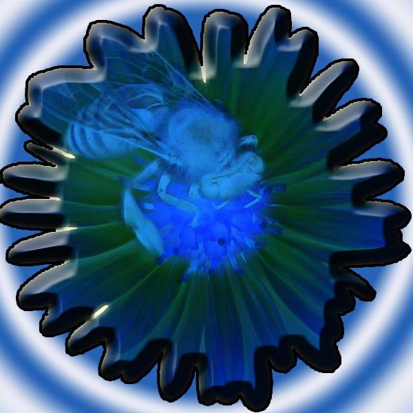 Boyss-Sound-e-Scapes Virtual Intrument Bundles (1 products) - Audiofanzine