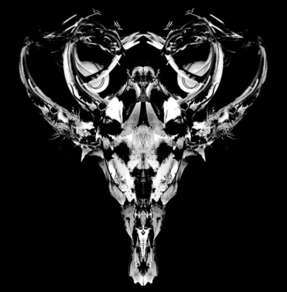 Devine Sound Ribbon Microphones (1 products) - Audiofanzine