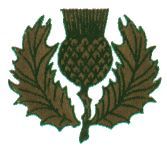 Freshwater Mandolins (1 products) - Audiofanzine