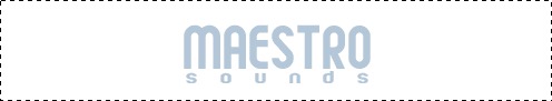 Maestro Sounds (4 products) - Audiofanzine
