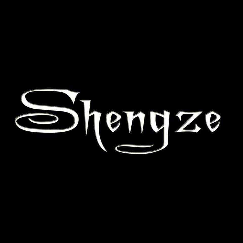 Shengze Guitars - Audiofanzine