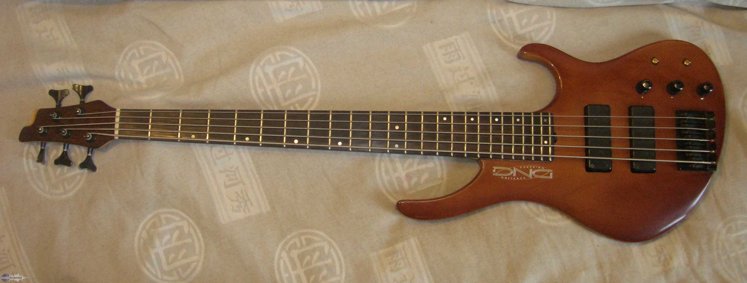 Custom 5 Strings - DNG Custom 5 Strings - Audiofanzine