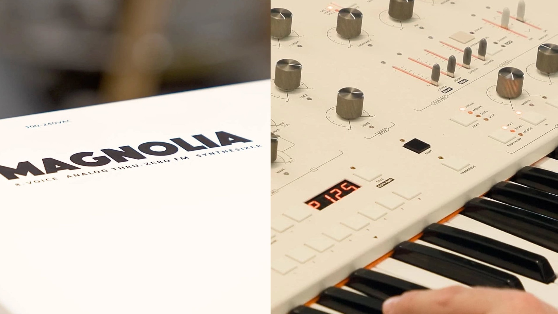 réactions à la news - Commentaires sur la news : Frap Tools tease ...