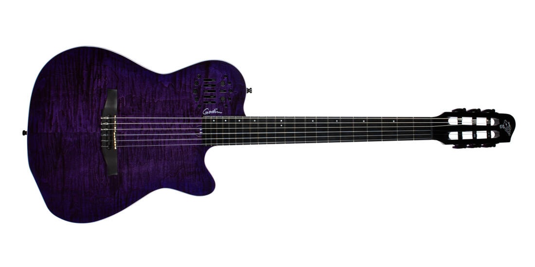 ACS Nylon Steve Stevens Signature 25th Anniversary Godin - Audiofanzine