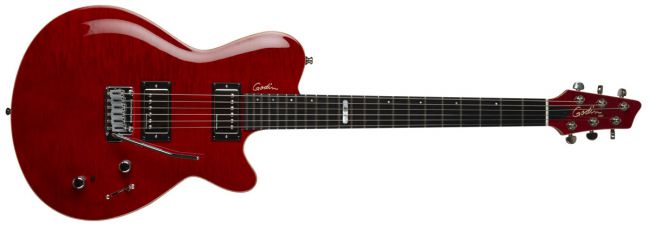 Signature DS-1 - Godin Signature DS-1 - Audiofanzine