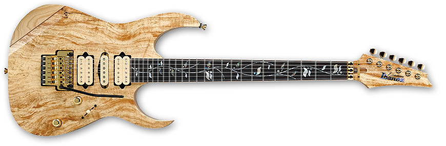 Pictures and images Ibanez RG J. Custom - Audiofanzine
