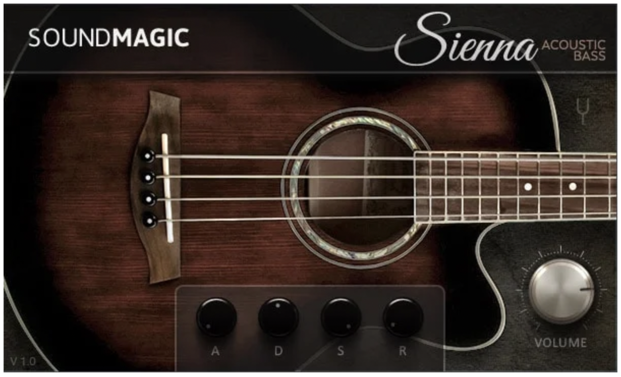 Sienna Bass - Sound Magic Sienna Bass - Audiofanzine