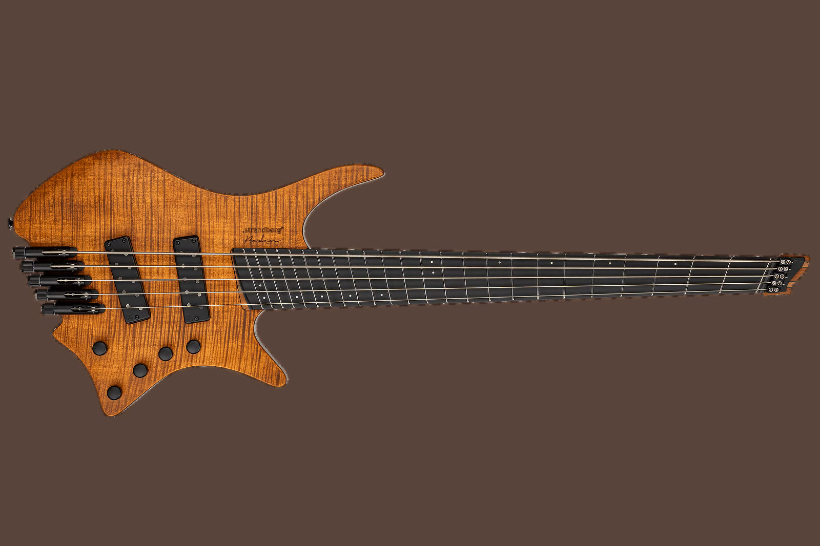 Boden Bass Prog 5 2021 - Strandberg Boden Bass Prog 5 2021 - Audiofanzine