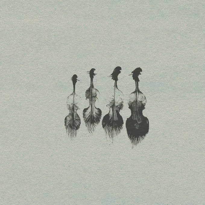 Feathersome Strings - Wrongtools Feathersome Strings - Audiofanzine