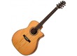 Tenson Guitars (19 products) - Audiofanzine