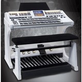 orgue Wersi (12 produits) - Audiofanzine