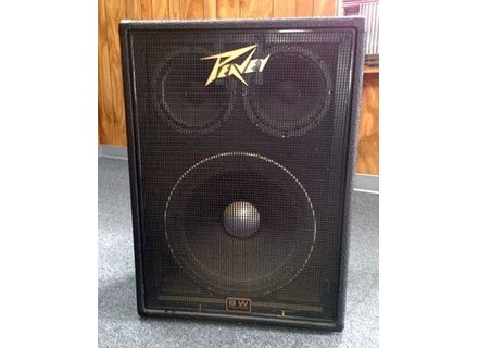 Pictures and images Peavey 1516 Bass Enclosure - Audiofanzine